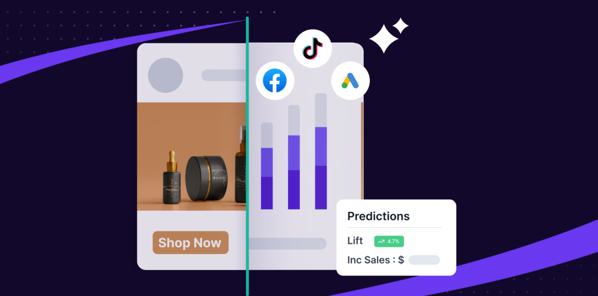 Active customers - Lifesight